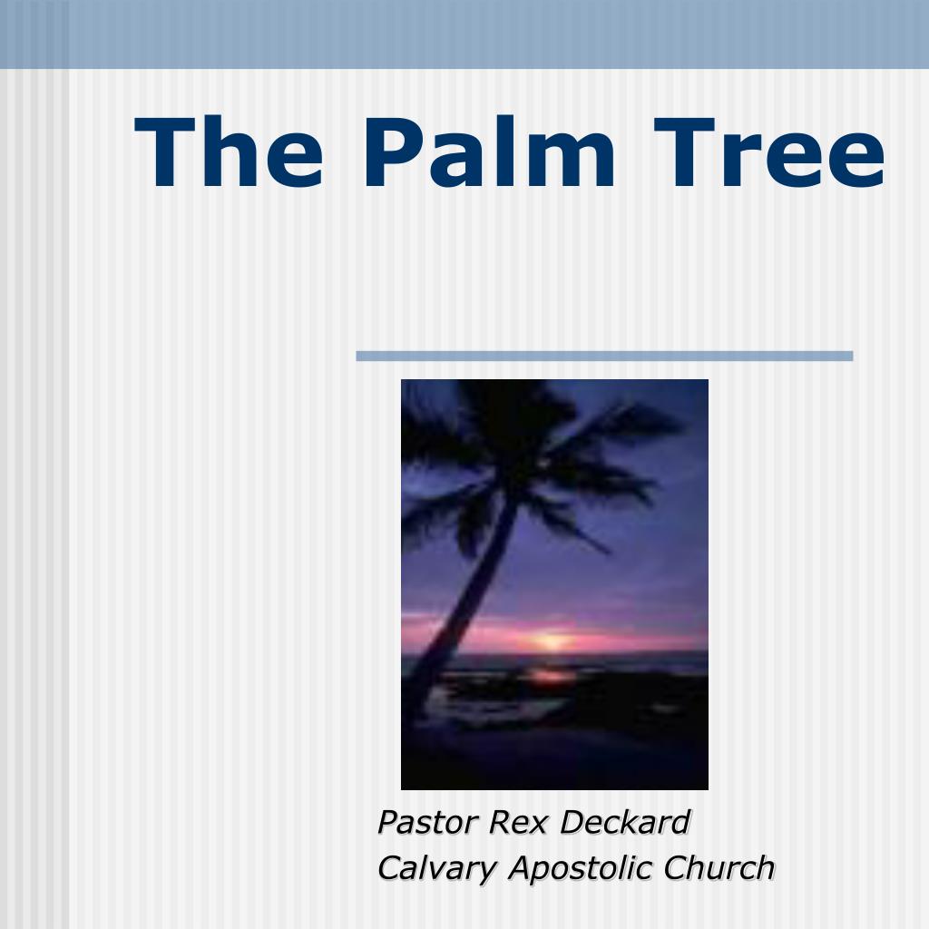 PPT - The Palm Tree PowerPoint Presentation, free download - ID:4643343