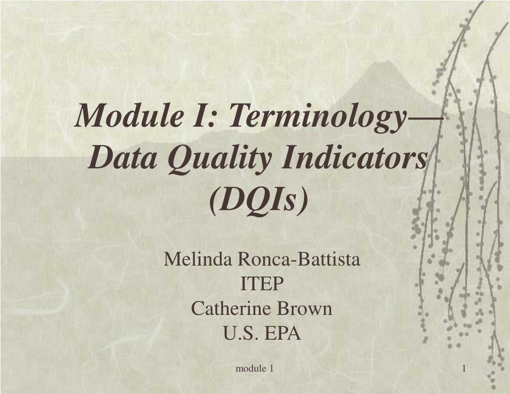 PPT - Module I: Terminology— Data Quality Indicators (DQIs) PowerPoint ...