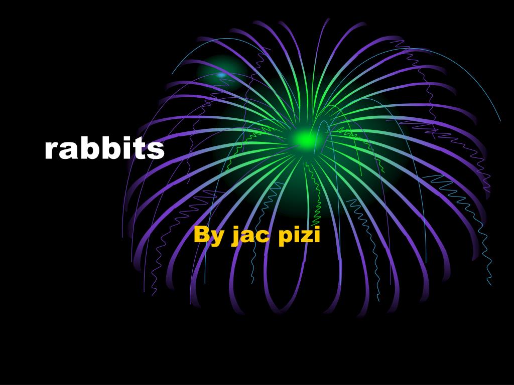 PPT - rabbits PowerPoint Presentation, free download - ID:4648439