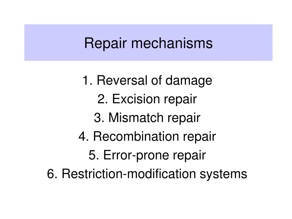 PPT - Repair mechanisms PowerPoint Presentation, free download - ID:4648720