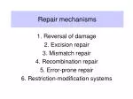 PPT - Geeks On Repair PowerPoint Presentation, free download - ID:8034132