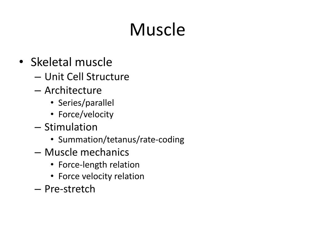 PPT - Muscle PowerPoint Presentation, free download - ID:4651395