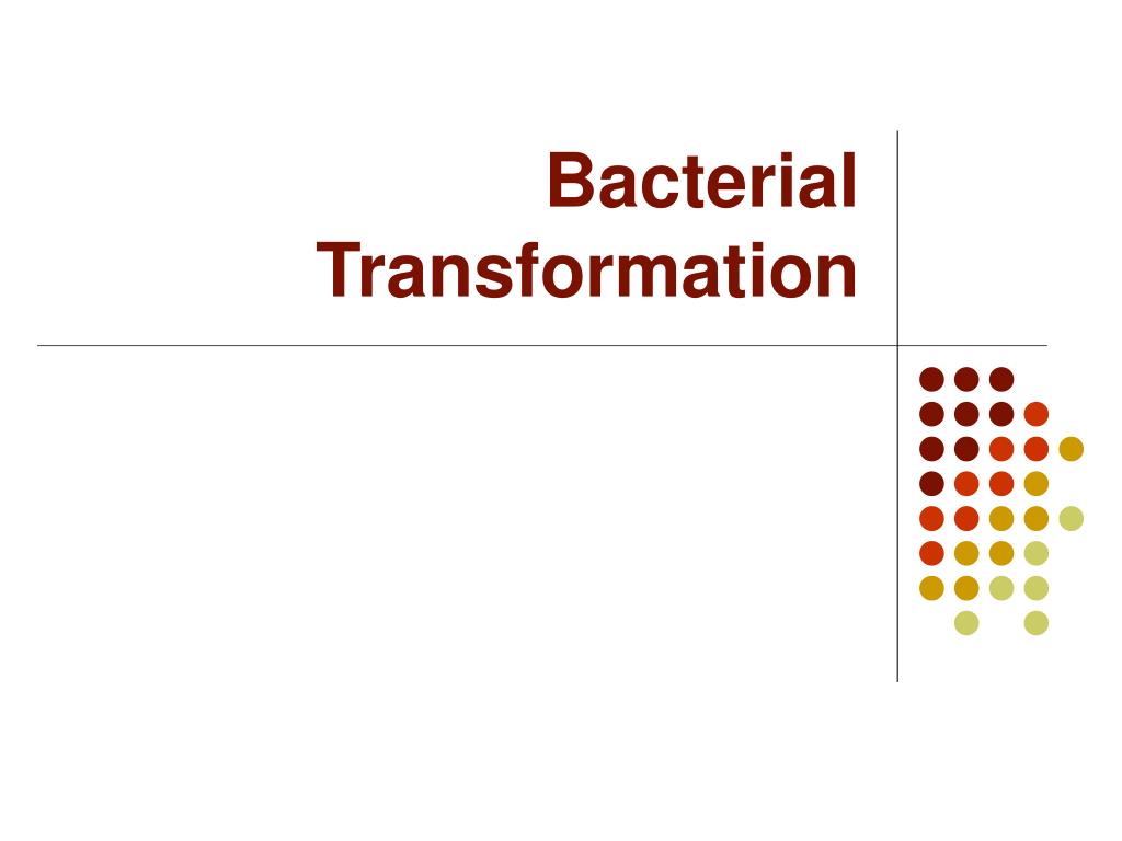 PPT - Bacterial Transformation PowerPoint Presentation, free download ...