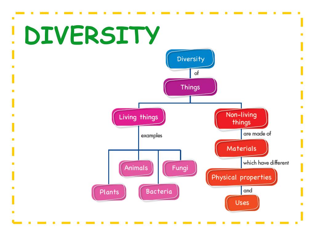 PPT - DIVERSITY PowerPoint Presentation, free download - ID:4655591