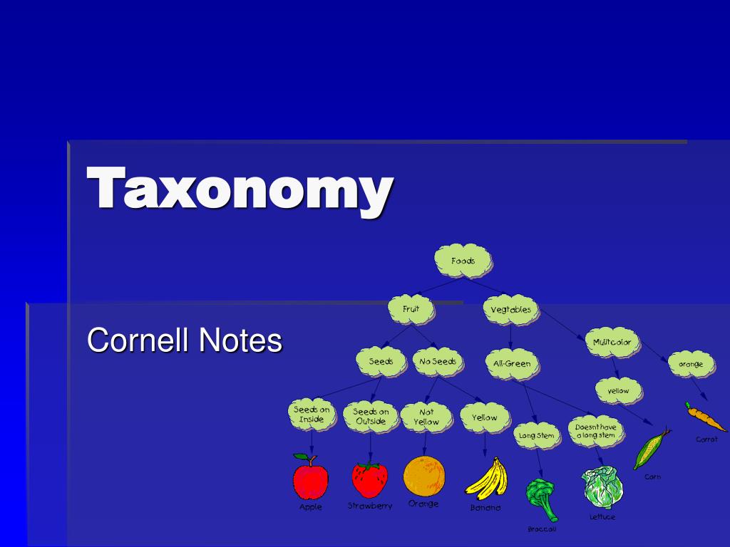 PPT - Taxonomy PowerPoint Presentation, free download - ID:4656919
