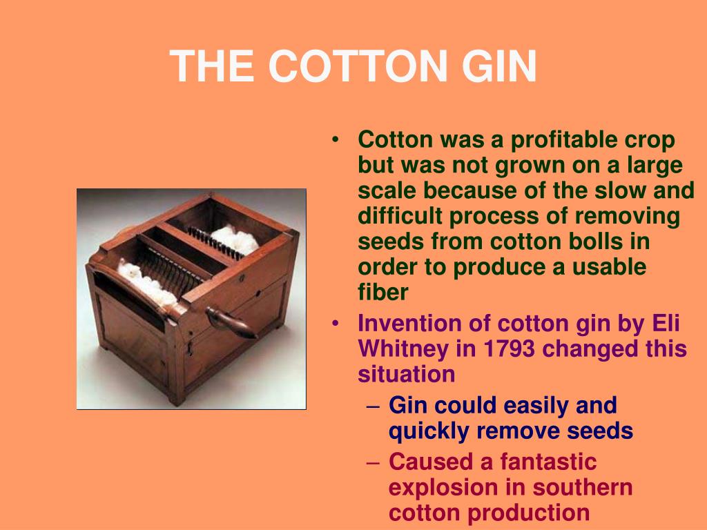 PPT - THE COTTON GIN PowerPoint Presentation, free download - ID:4657281