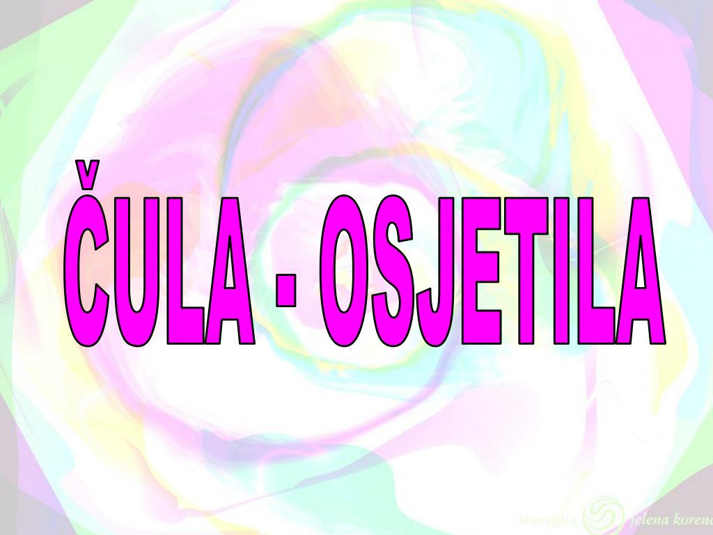 PPT - Čula-osjetila PowerPoint Presentation, free download - ID:4657549