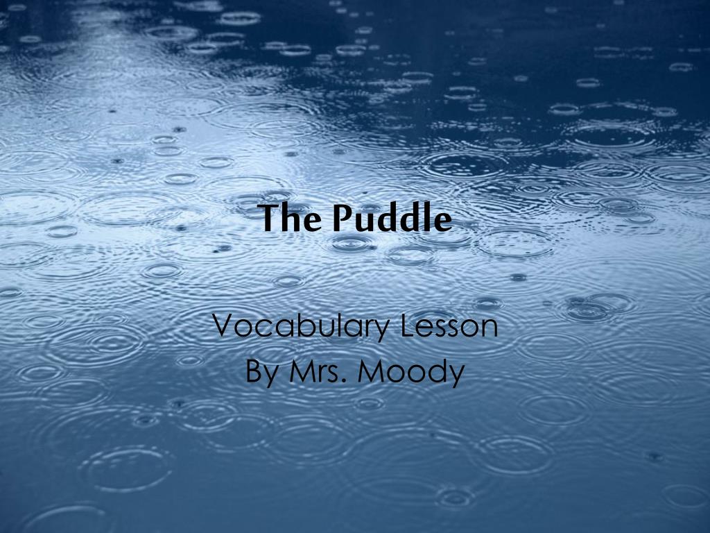 PPT - The Puddle PowerPoint Presentation, free download - ID:4657605