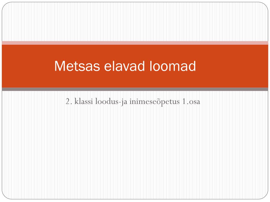 PPT - Metsas elavad loomad PowerPoint Presentation, free download - ID:4658172