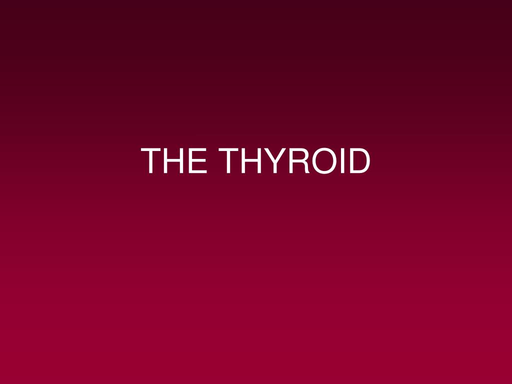 PPT - THE THYROID PowerPoint Presentation, free download - ID:4660576