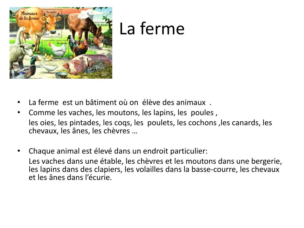 PPT - La ferme PowerPoint Presentation, free download - ID:4662948