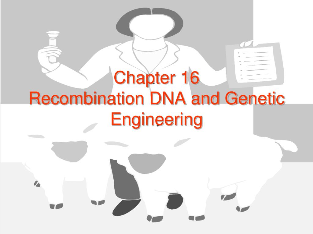 PPT - Chapter 16 Recombination DNA and Genetic Engineering PowerPoint ...