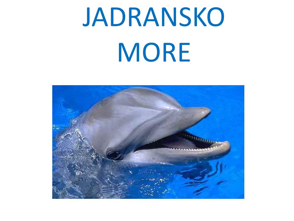PPT - JADRANSKO MORE PowerPoint Presentation, free download - ID:4664942