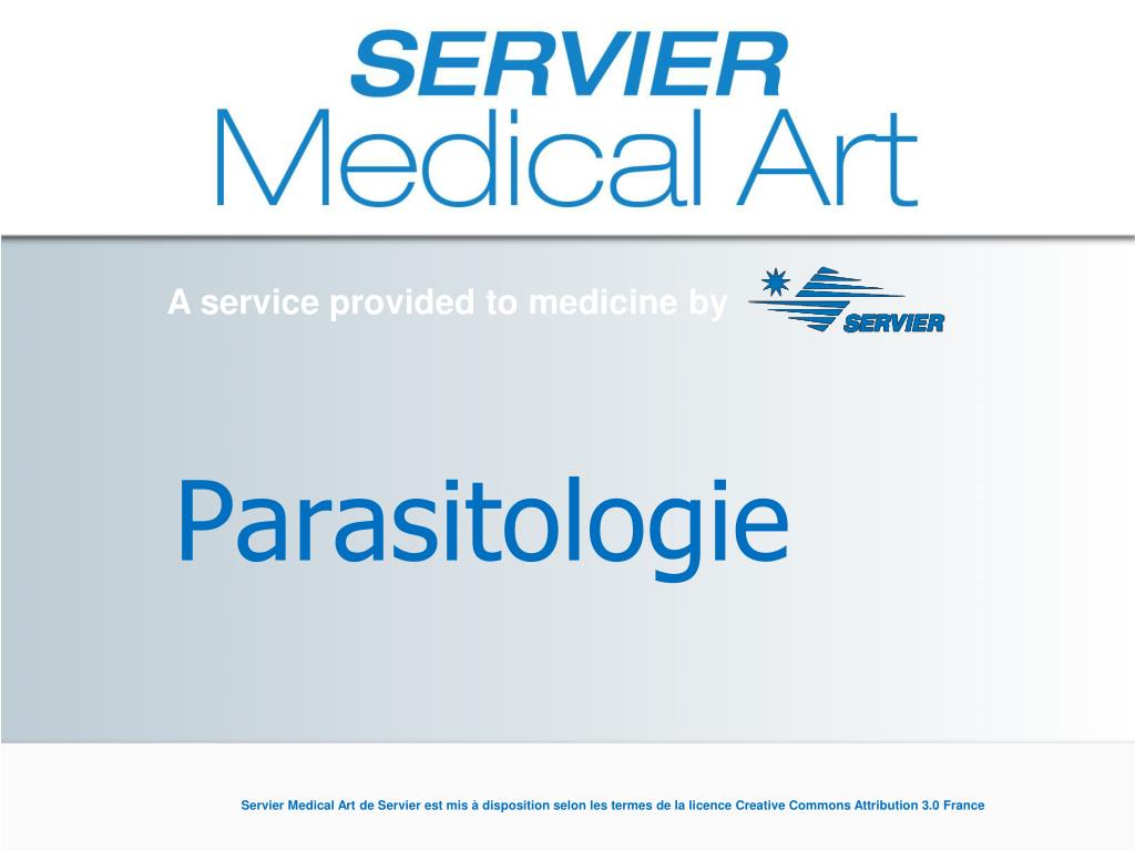 PPT - Parasitologie PowerPoint Presentation, free download - ID:4668260
