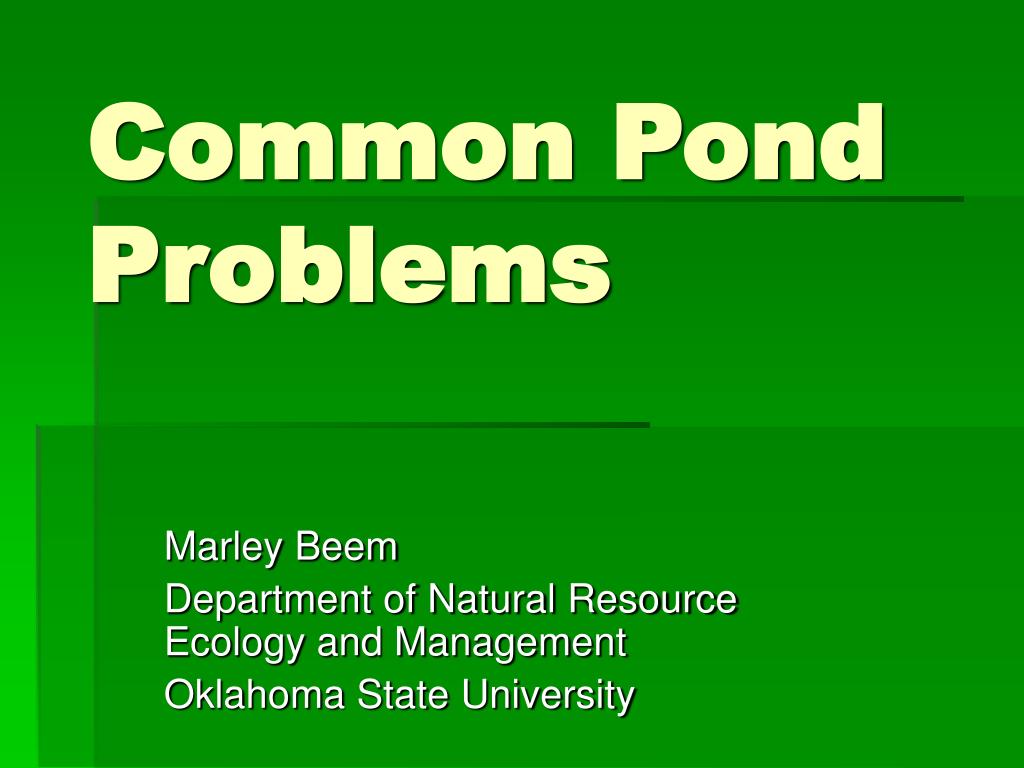 PPT - Common Pond Problems PowerPoint Presentation, free download - ID ...