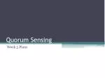 PPT - Quorum Sensing as a Potential Antimicrobial Target PowerPoint ...
