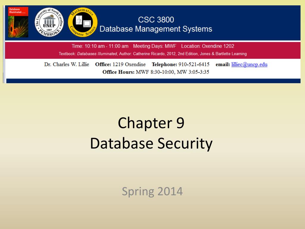 PPT - Chapter 9 Database Security PowerPoint Presentation, free ...