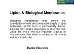 PPT - Biological Membranes PowerPoint Presentation, free download - ID ...
