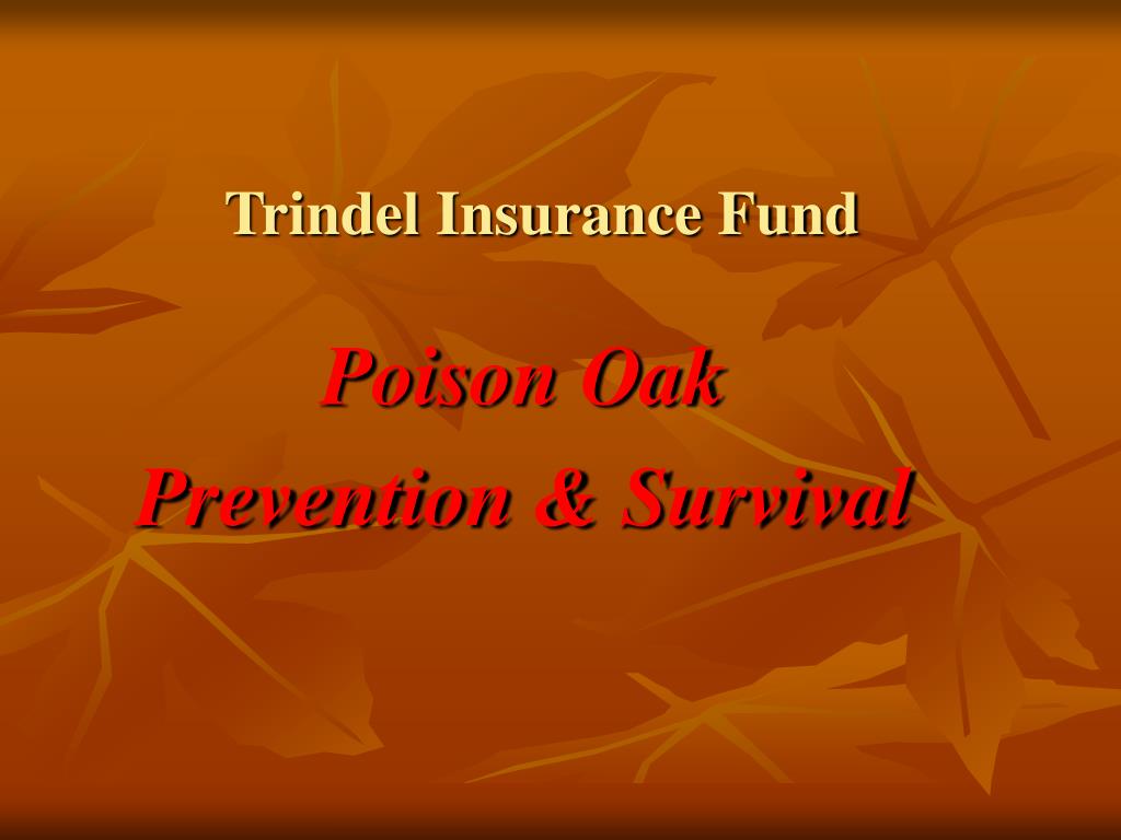 PPT - Trindel Insurance Fund PowerPoint Presentation, free download ...