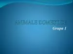 PPT - ANIMALE DOMESTICE PowerPoint Presentation, free download - ID:4479867