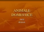 PPT - ANIMALE DOMESTICE PowerPoint Presentation, free download - ID:4479867