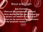 PPT - Blood and lymph Hematopoiesis PowerPoint Presentation, free ...