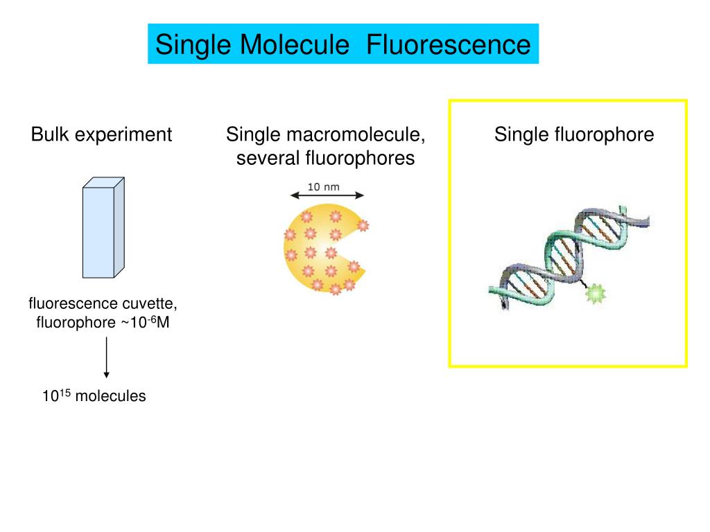 PPT - Single Molecule Fluorescence PowerPoint Presentation, free ...