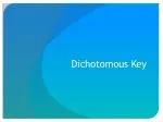PPT - Dichotomous Key of Dogs PowerPoint Presentation, free download ...