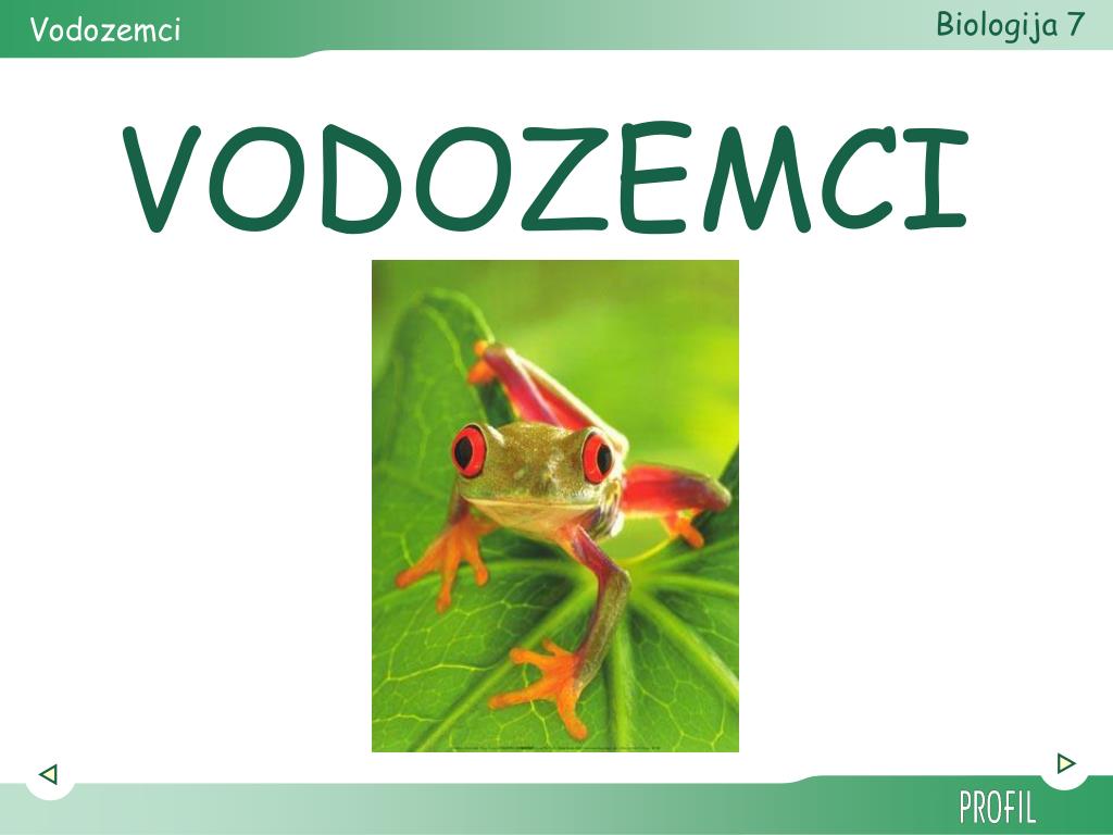 PPT - VODOZEMCI PowerPoint Presentation, free download - ID:4689922