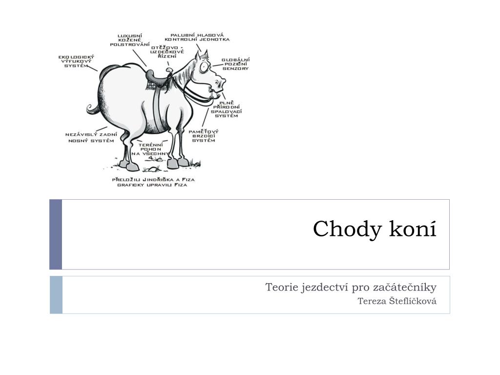 PPT - Chody koní PowerPoint Presentation, free download - ID:4689940