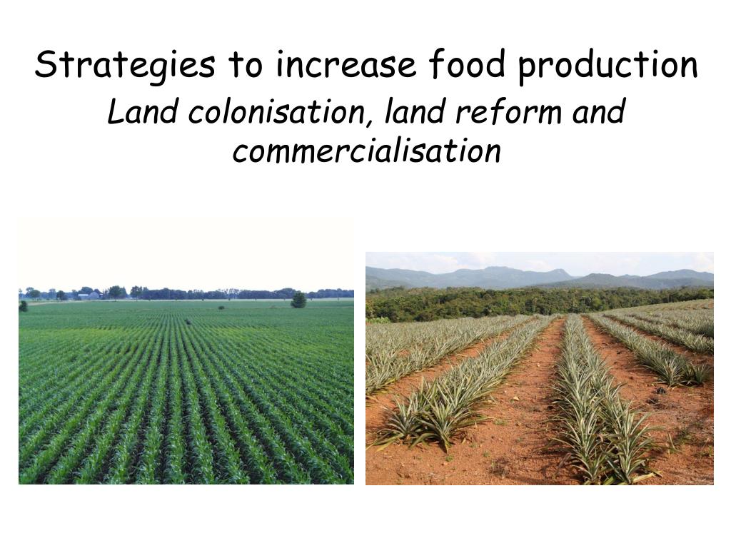 PPT - Strategies to increase food production Land colonisation, land ...