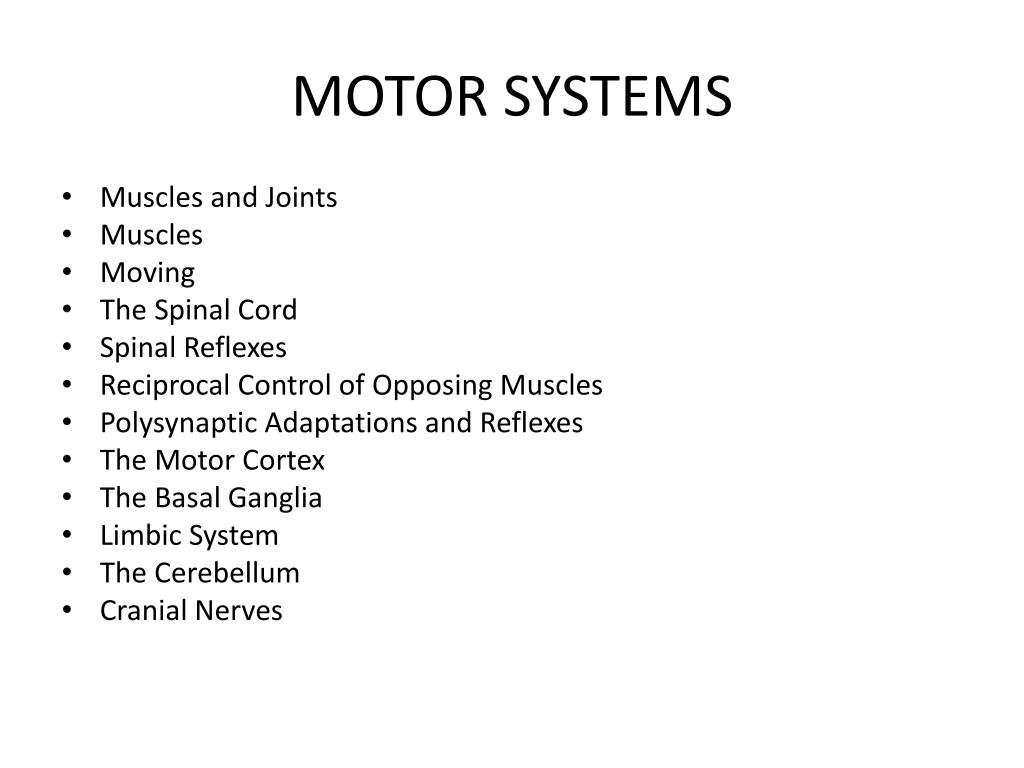 PPT - MOTOR SYSTEMS PowerPoint Presentation, free download - ID:4692135