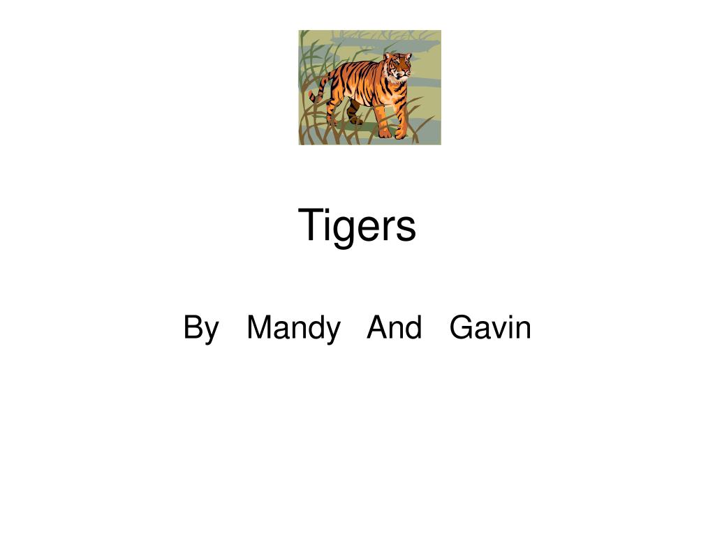 PPT - Tigers PowerPoint Presentation, free download - ID:4693052
