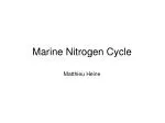 PPT - Marine Nitrogen Cycle PowerPoint Presentation, free download - ID ...