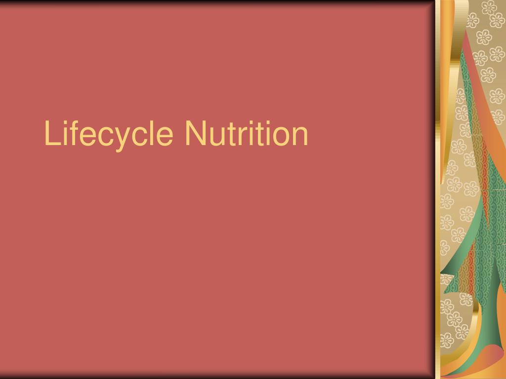 PPT - Lifecycle Nutrition PowerPoint Presentation, free download - ID ...