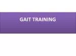 PPT - GAIT PowerPoint Presentation, free download - ID:714863