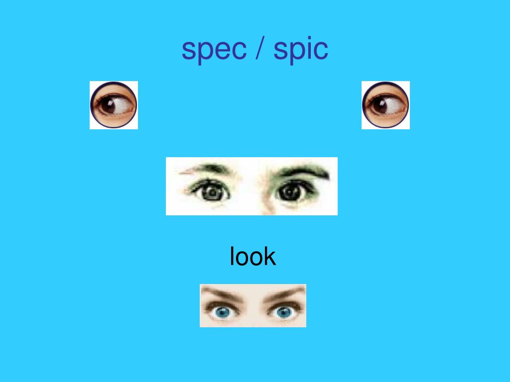 PPT - spec / spic PowerPoint Presentation, free download - ID:4702855