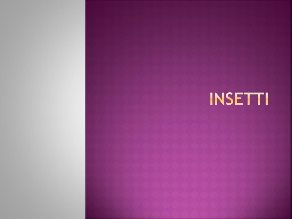 PPT - Insetti PowerPoint Presentation, free download - ID:4704390