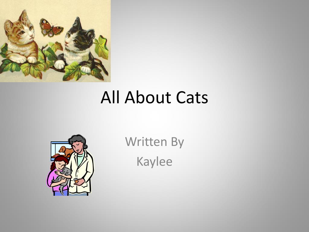PPT - All About Cats PowerPoint Presentation, free download - ID:4705824