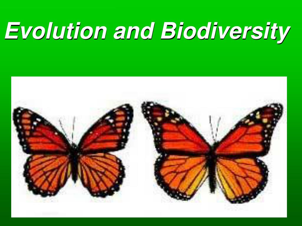 PPT - Evolution and Biodiversity PowerPoint Presentation, free download ...