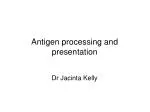PPT - Antigen Processing and Presentation PowerPoint Presentation, free ...