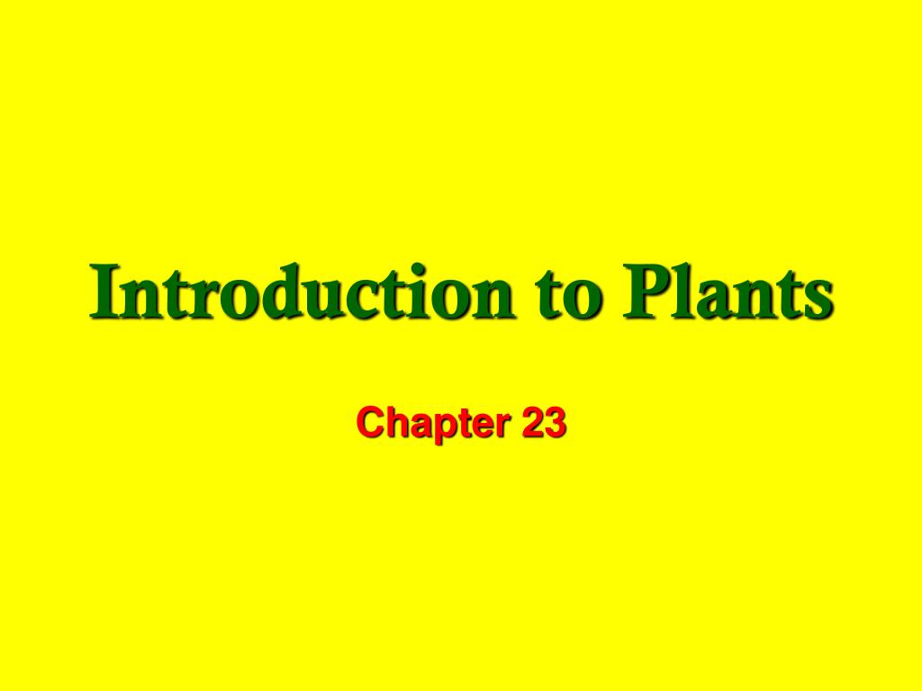 PPT - Introduction to Plants PowerPoint Presentation, free download ...