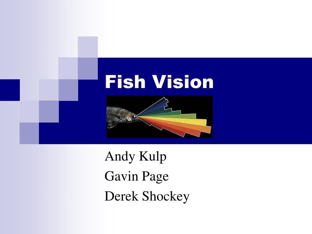 PPT - Fish Vision PowerPoint Presentation, free download - ID:4718376