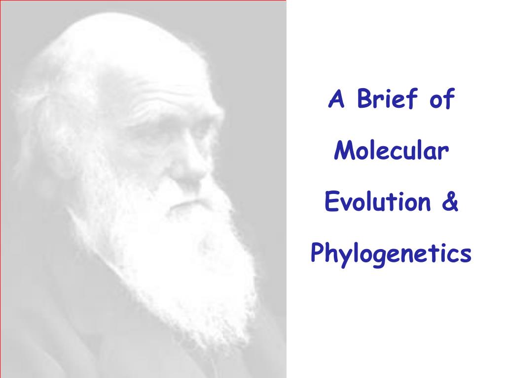 PPT - A Brief of Molecular Evolution & Phylogenetics PowerPoint ...