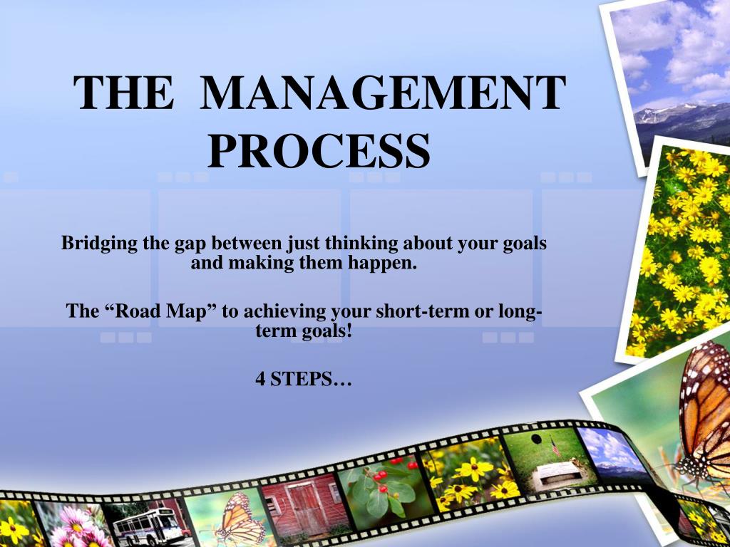 PPT - THE MANAGEMENT PROCESS PowerPoint Presentation, free download ...