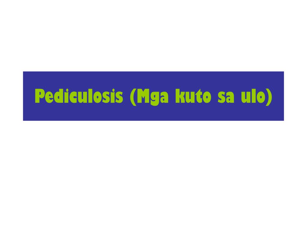 PPT - Pediculosis (Mga kuto sa ulo) PowerPoint Presentation, free ...