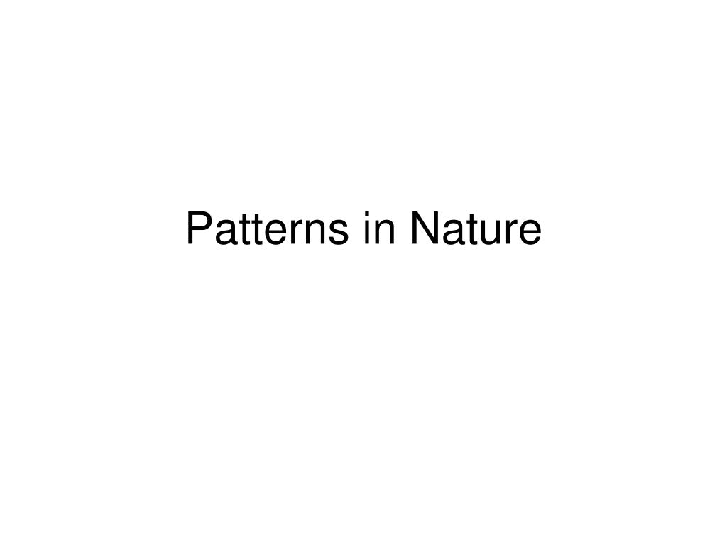PPT - Patterns in Nature PowerPoint Presentation, free download - ID ...