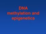 PPT - Gene-Specific DNA Methylation Detection Methods PowerPoint ...