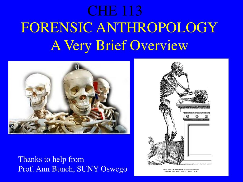 PPT - FORENSIC ANTHROPOLOGY A Very Brief Overview PowerPoint ...