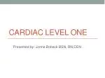 PPT - Fundations : Level One PowerPoint Presentation, free download ...